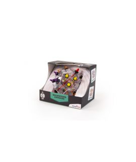 Brainstring Advanced - Raindroptime